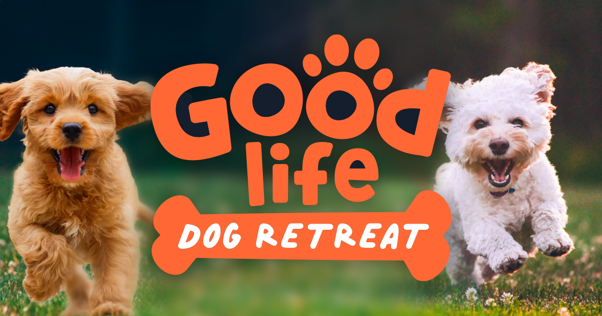 GoodLife Dog Retreat in Kemptville - Grooming, Training, Walking, Boarding